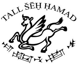 Archive of the excavations at Tell Schech Hamad • Institute for Near ...